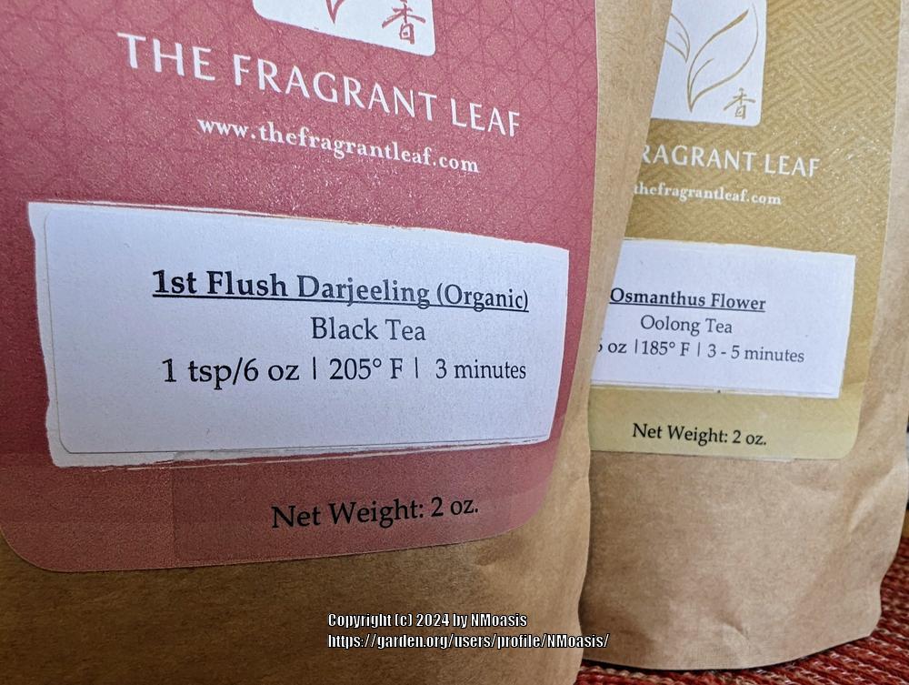 The Tea House in the Sandbox forum - Garden.org