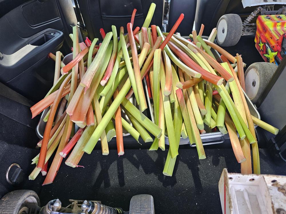 Chow Time 2024 in the Sandbox forum - Garden.org
