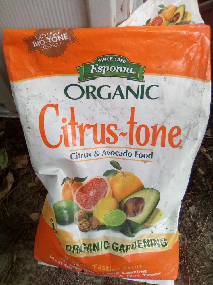 Sick lemon tree in the Ask a Question forum - Garden.org