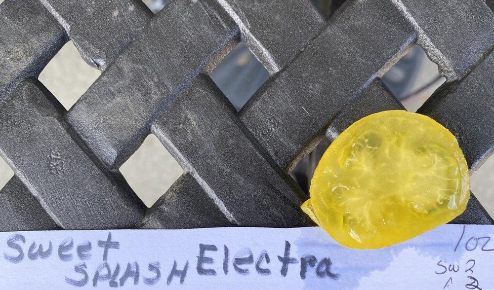 Photo of the fruit of Tomato (Solanum lycopersicum 'Sweet Splash ...