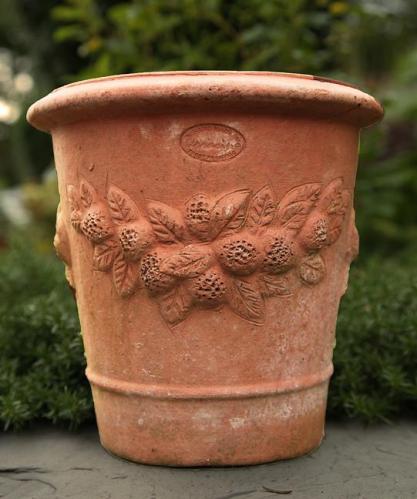 July 2024 -- Photos and Chat in the Roses forum - Garden.org