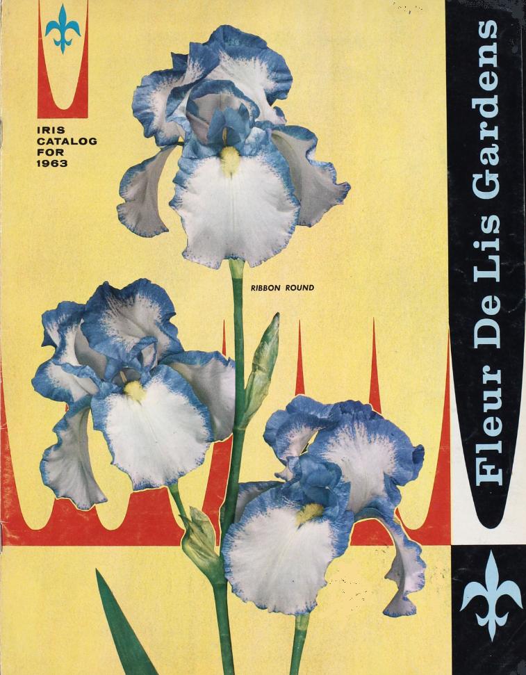 Tall Bearded Iris (Iris 'Ribbon Round') in the Irises Database - Garden.org