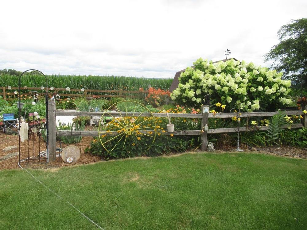 gardenglassgems's blog: Summer of 2024: Pictures of my Vegetable Raised ...