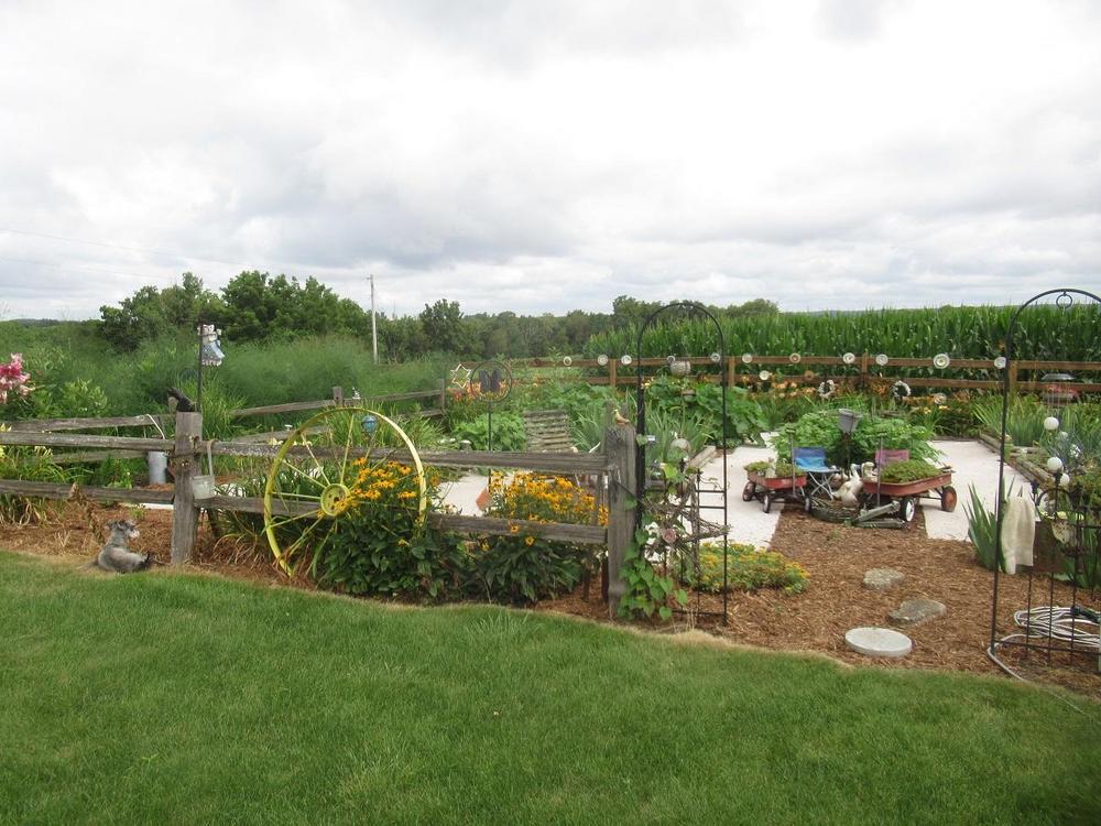 gardenglassgems's blog: Summer of 2024: Pictures of my Vegetable Raised ...