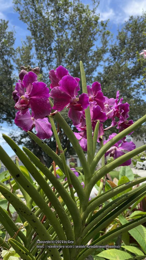 Newsletter for August 24th, 2024