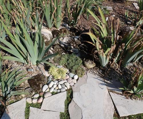 Starting a new iris bed, show me your raised beds please. I need new ...