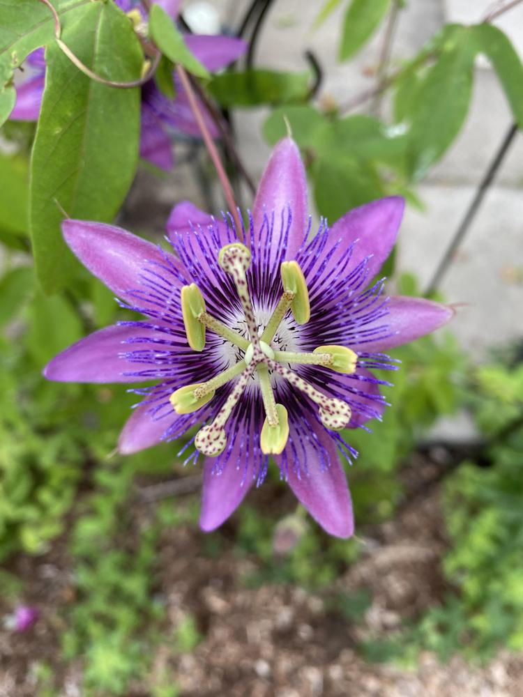 Newsletter for October 19th, 2024