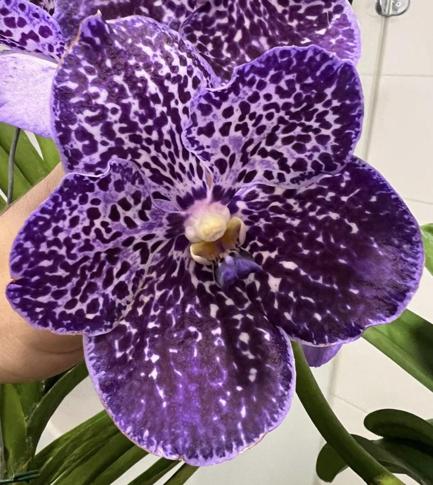 Newsletter for November 16th, 2024