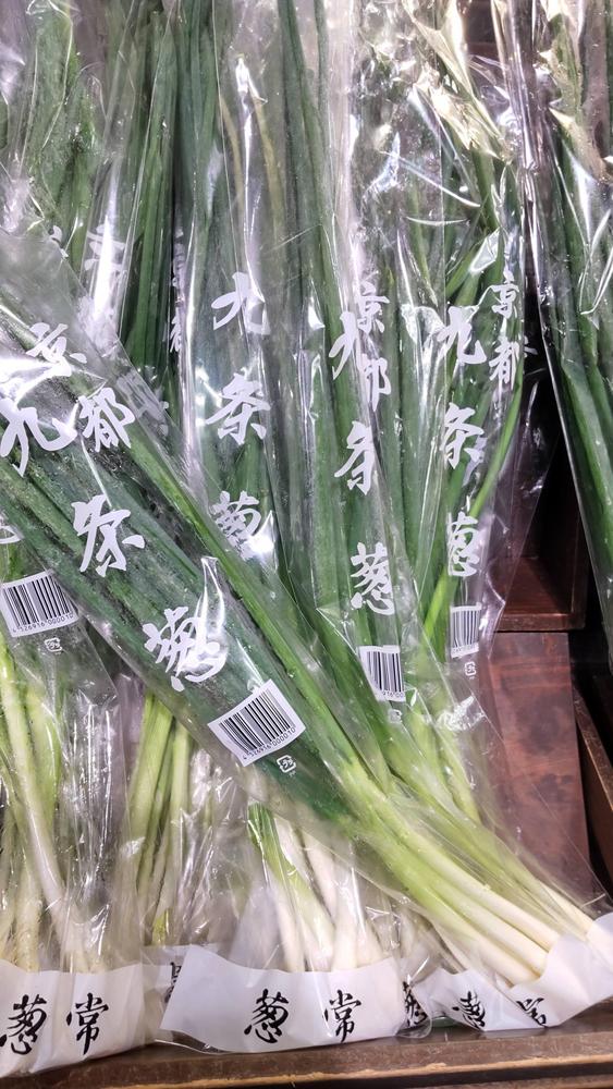 Photo of the leaves of Kyoto Scallion (Allium fistulosum 'Kujo Negi ...