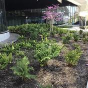 The National Gardening Association