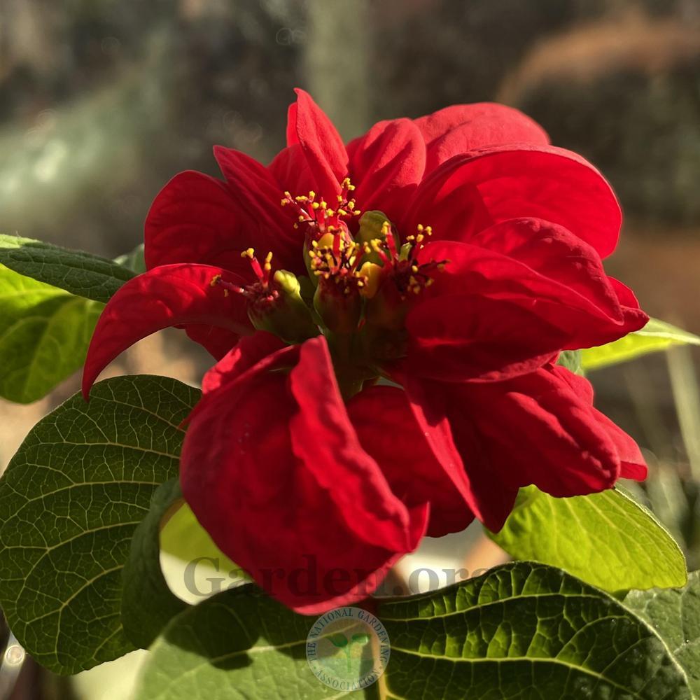 Newsletter for February 22nd, 2025