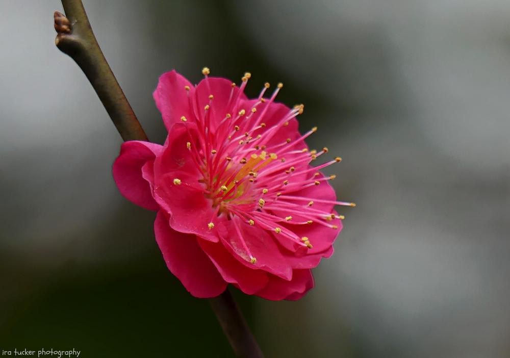 Newsletter for February 22nd, 2025