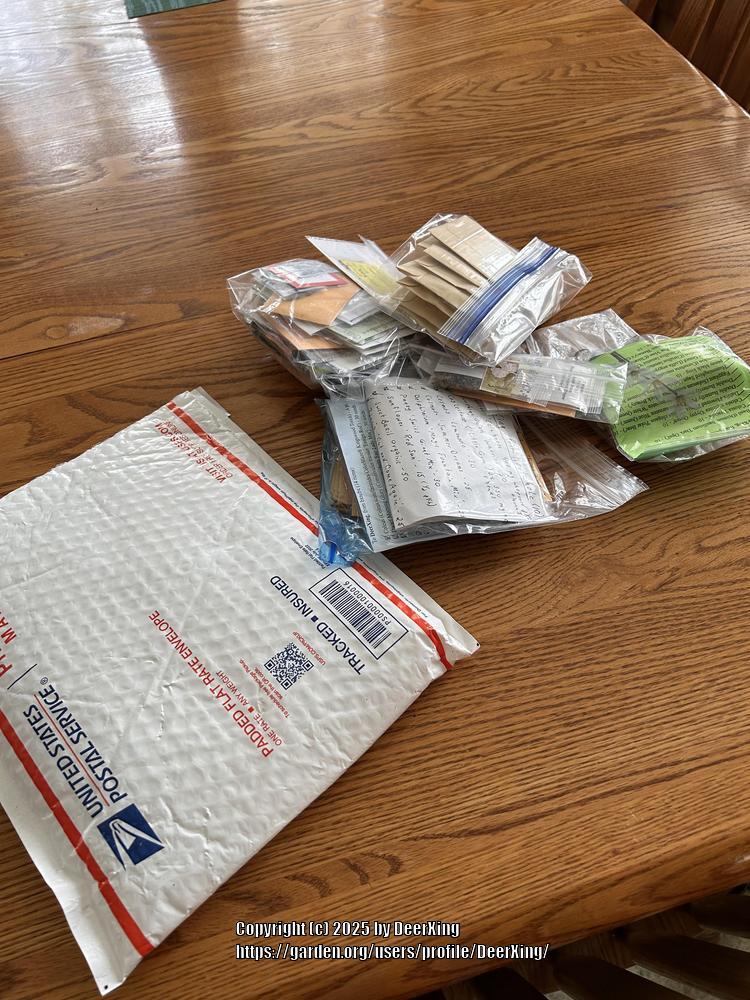 Outgoing Packages in SPRING 2025 LIGHTNING SWAP - Garden.org