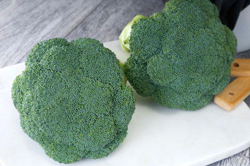 Broccoli (Brassica oleracea var. botrytis 'Appalachian') in the ...