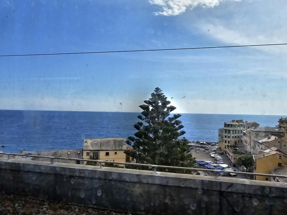 Grump 2025 in the Sandbox forum - Garden.org