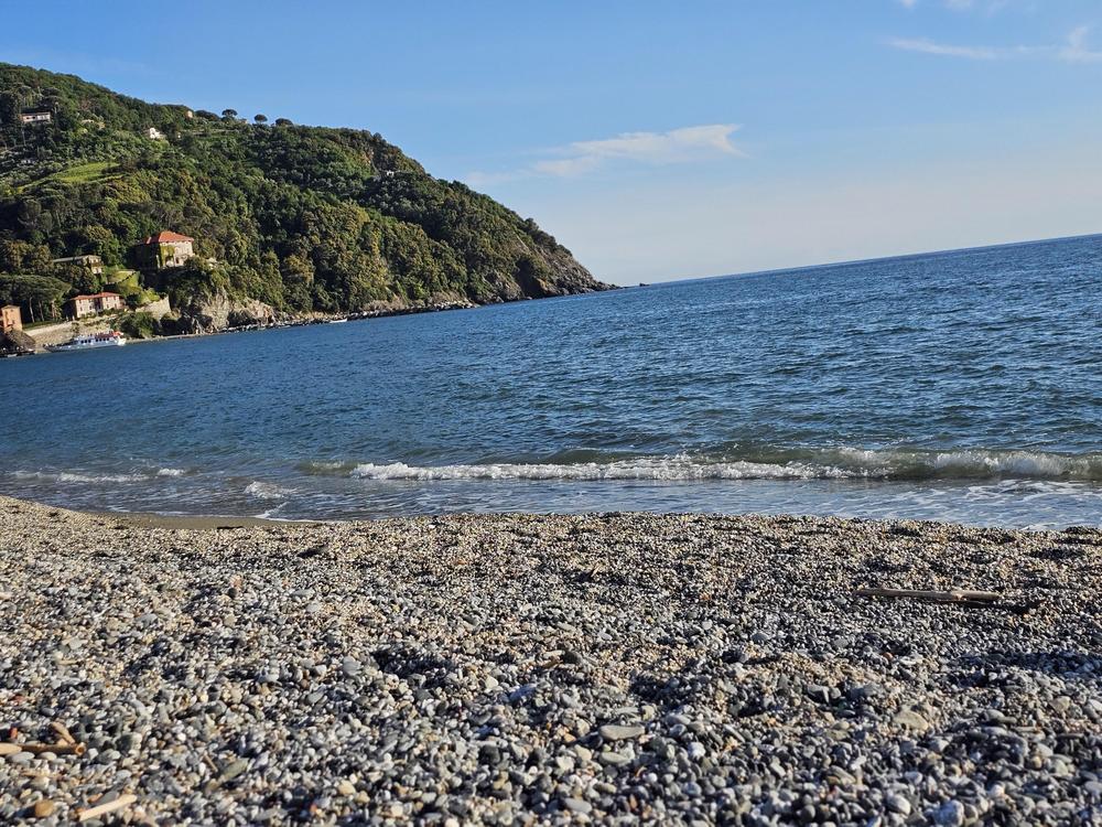 Grump 2025 in the Sandbox forum - Garden.org