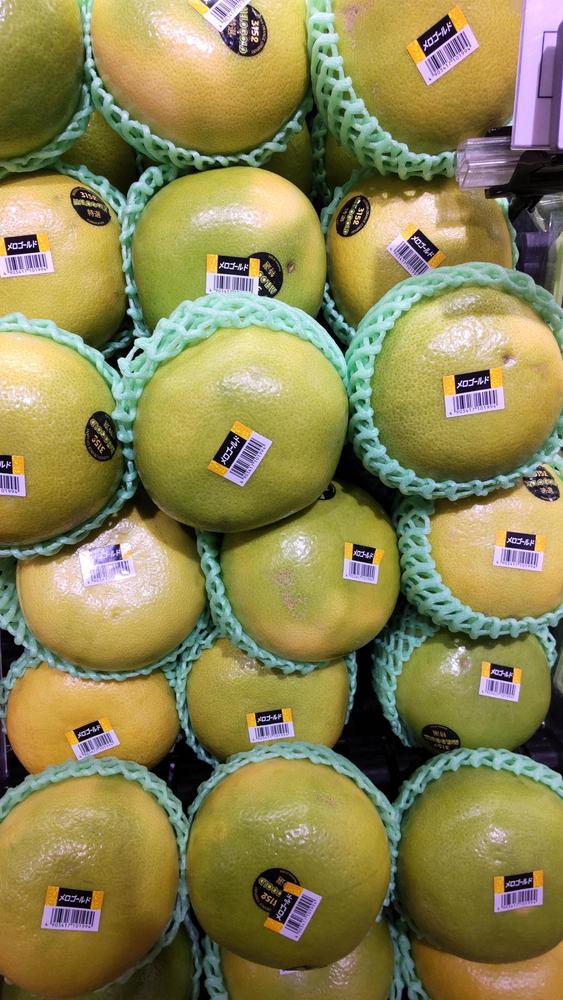 Grapefruit (Citrus x aurantium 'Melogold') in the Citrus Fruits ...